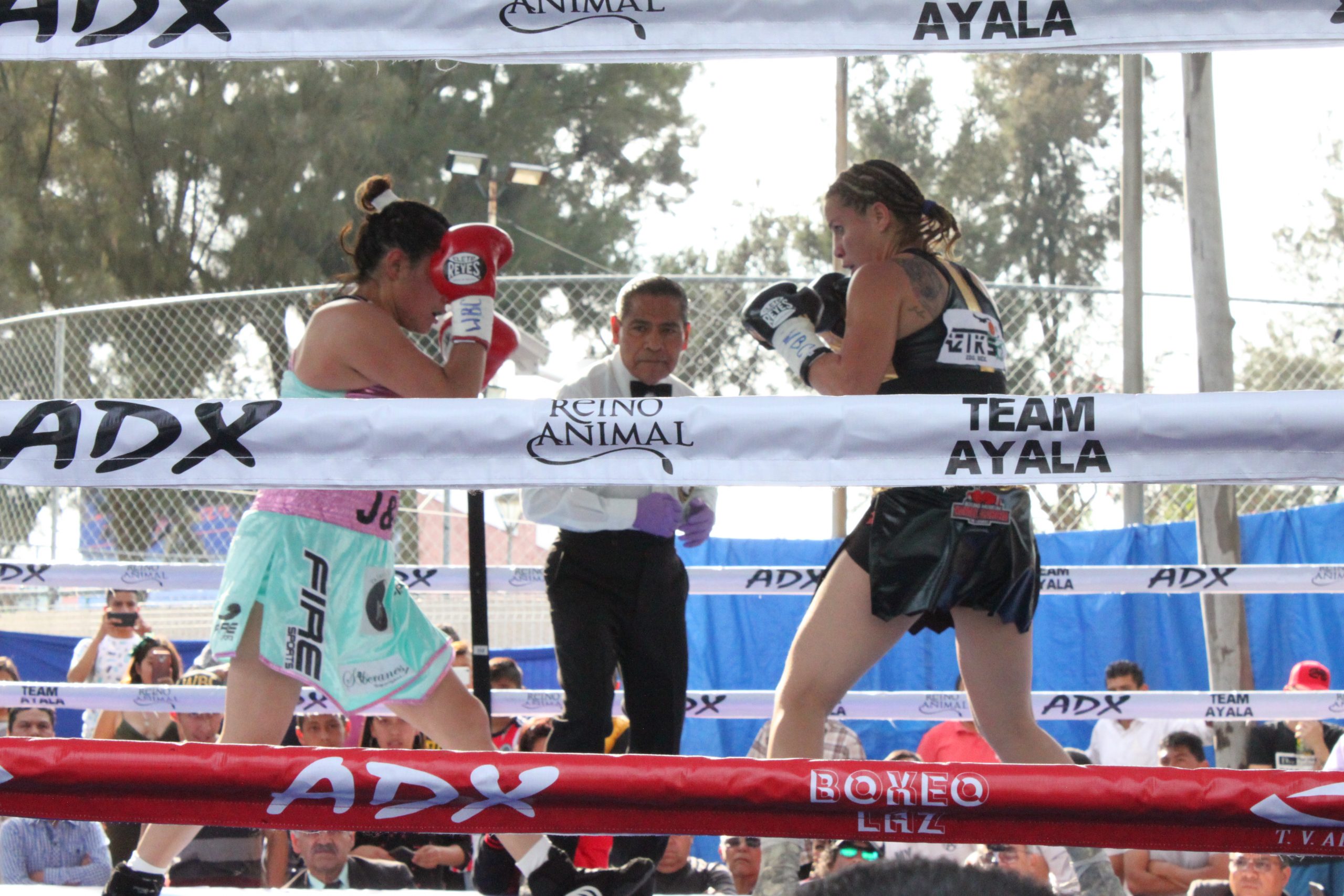 “La Loba” es la nueva Campeona Internacional WBC – RINCÓN ROJO